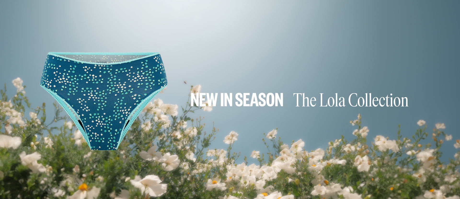 The Original Period & Incontinence Underwear | Modibodi NZ